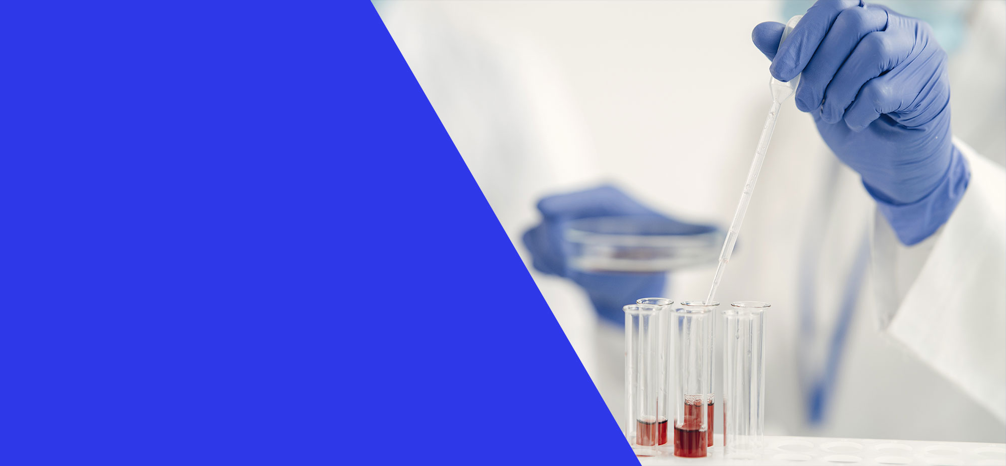 Bactobiology – Importar y comercializar insumos médicos y de diagnóstico